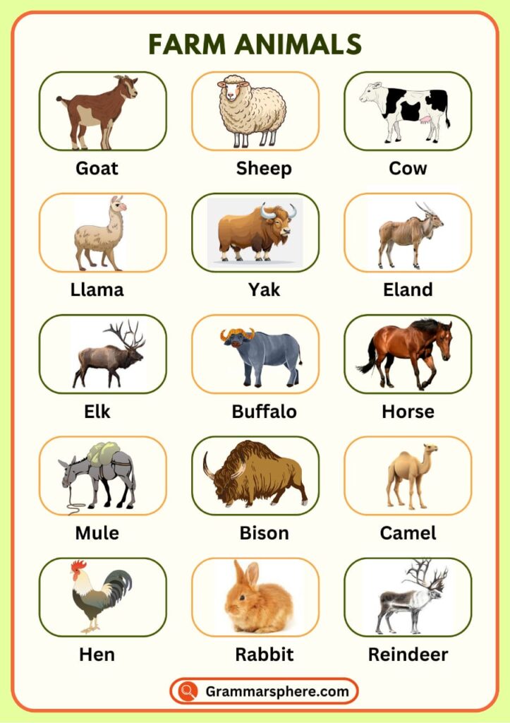 Farm Animals Vocabulary In English - GrammarSphere