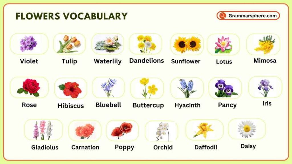 List Of Plants Vocabulary In English - GrammarSphere