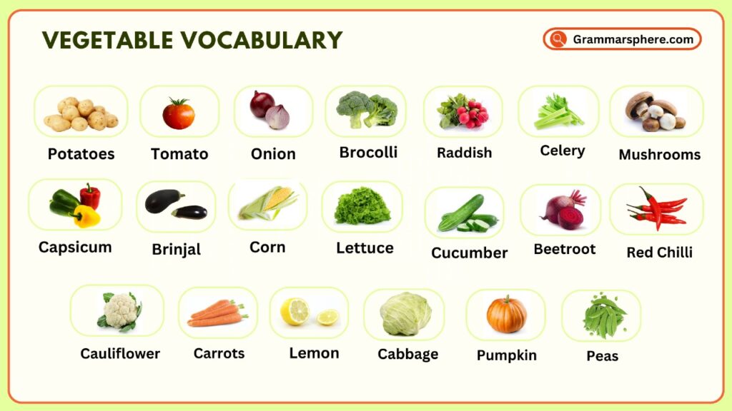 Vegetables Vocabulary In English With Examples And Phrases