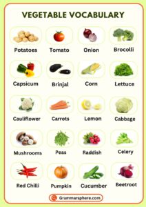 Vegetables Vocabulary In English With Examples And Phrases