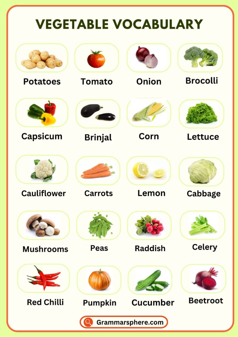 Vegetables Vocabulary In English With Examples And Phrases