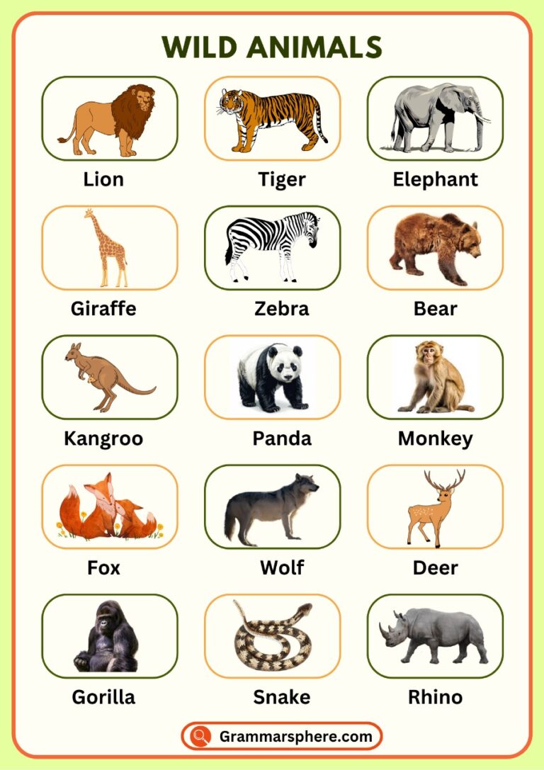 Wild Animals Vocabulary In English | List Of Wild Animals - GrammarSphere