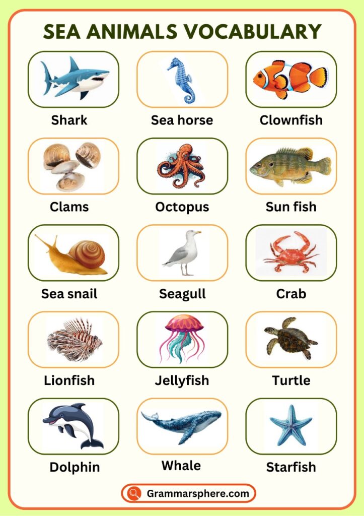 Learn Sea Animals Vocabulary: A Guide To Ocean Life - GrammarSphere