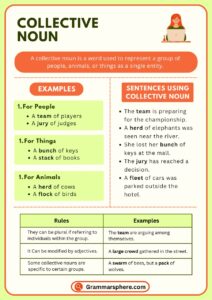 Collective Noun: Definition, Rules, And Examples
