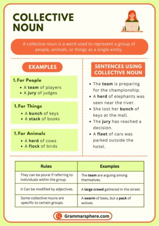 Collective Noun: Definition, Rules, And Examples