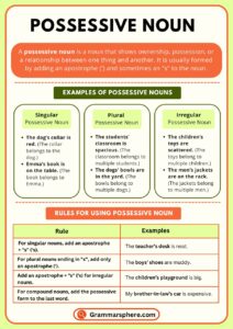 Possessive Nouns: Rules, Examples, And Usage